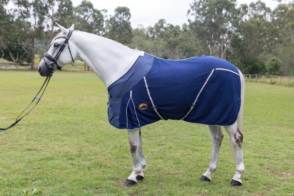 Polar Fleece Rug | Bang For Your Buck Horsegear