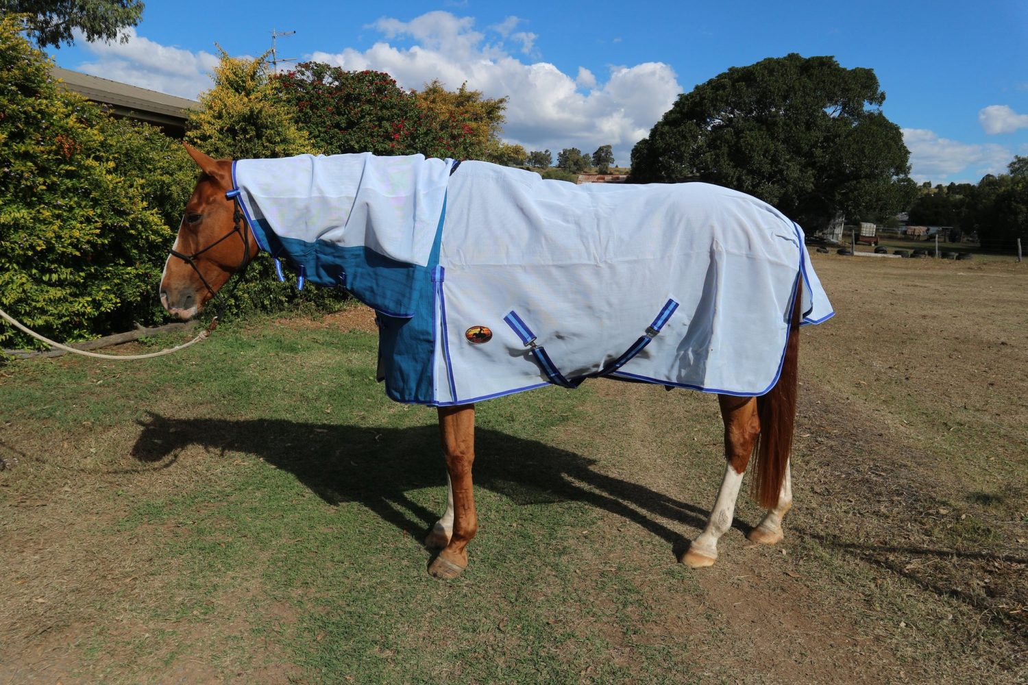 The Bush Basher | Bang For Your Buck Horsegear