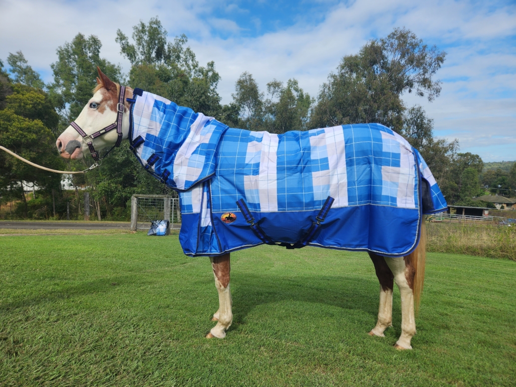 150g Doona Combo - TARTAN | Bang For Your Buck Horsegear